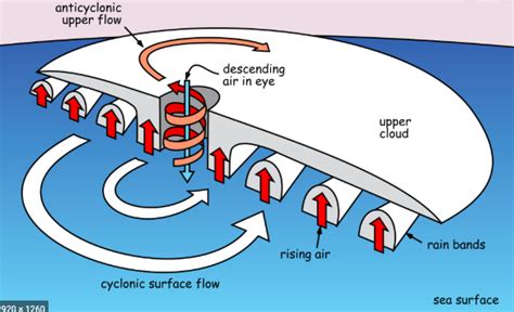 Tropical Cyclone Formation Diagram | Quizlet