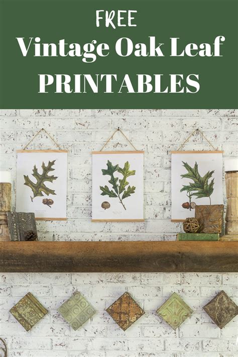 Image result for Free Fall Printables