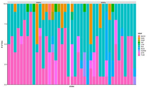Image result for Tissue Classification Neural Network