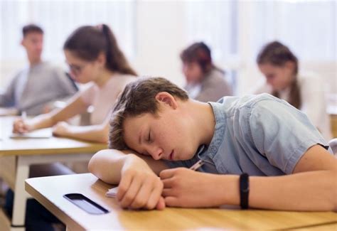 Image result for Sleep Is Essential for Learning