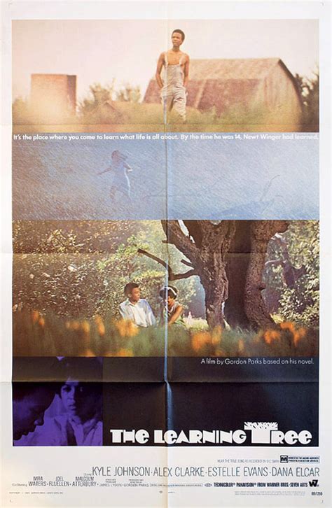 Image result for The Learning Tree Movie Cast