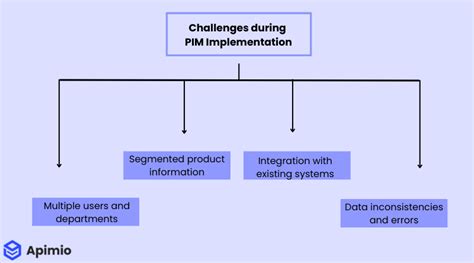 Image result for Pim Budget Example