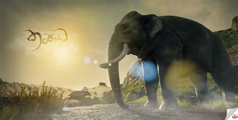 Image result for Computer Game Sinhala