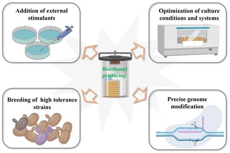 Image result for Bioethanol From Sugar Processing