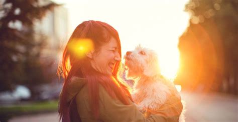 Image result for How Dogs Communicate with People