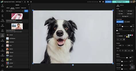 Image result for Add Pictures From My Camera