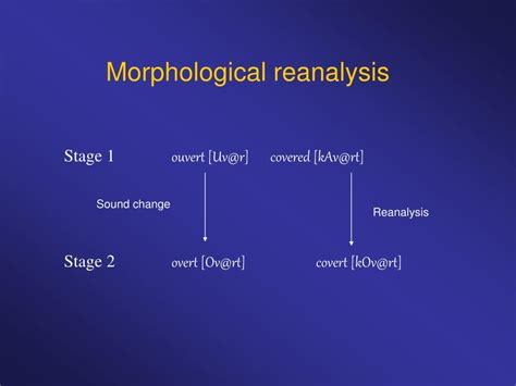 Image result for Example of Morphological Change