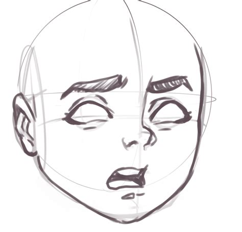 Image result for Head Shape Tutorial