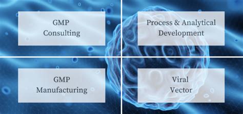 Image result for GMP Cell Manufacturing Lab