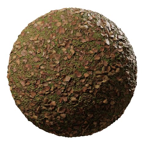 Image result for Earth Texture Map High Resolution