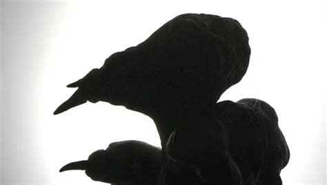 Image result for Meatball Machine 2005