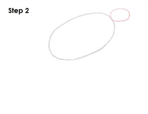 Image result for Hawk Drawing Brid