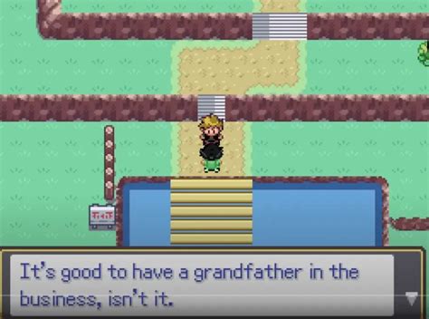 Image result for Pokemon Fire Ash Save File for PC