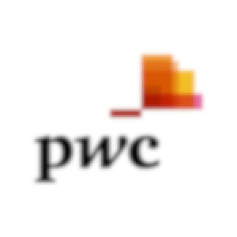 Image result for PWC Programming Course