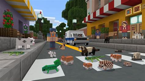 Image result for Pet Store Tutorial N Minecraft