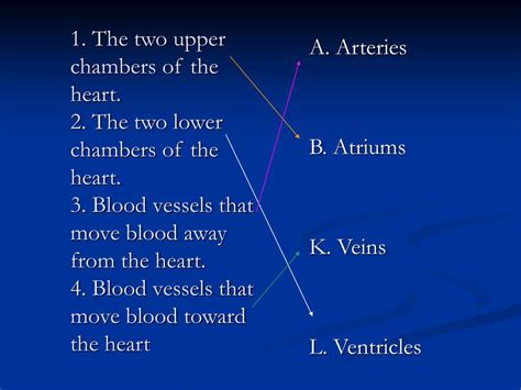 Image result for Circulation Test Procedure