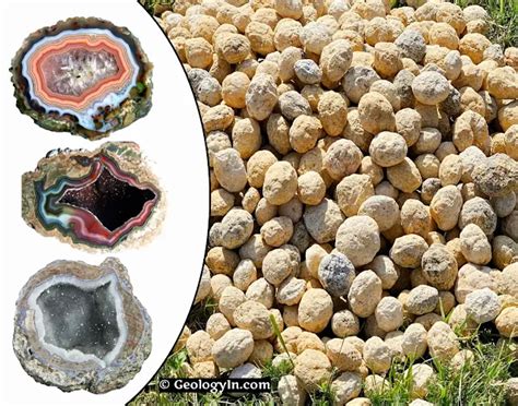 Image result for Real Geodes