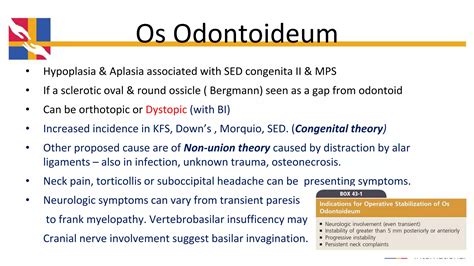 Image result for X-Rays for Basilar Invagination