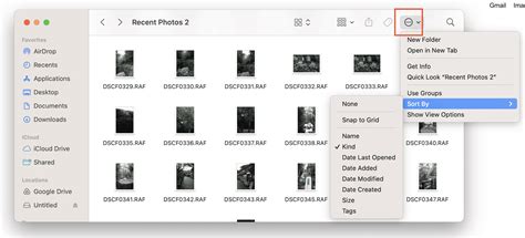 Image result for How to Tag LRV Files