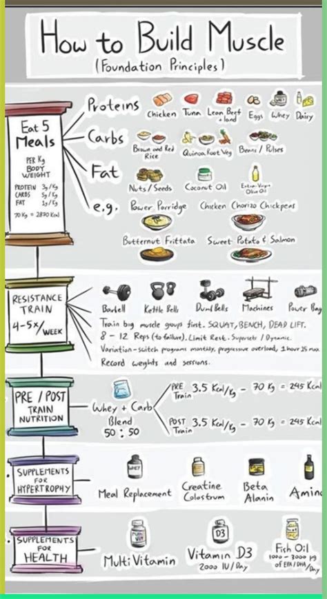 Image result for Stretching Exercise Chart