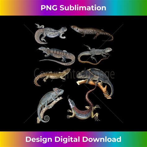 Image result for Different Lizard