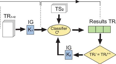 Image result for How to Not Confuse the IG Algorithm Image