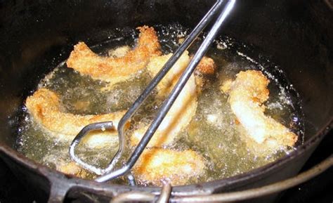 Image result for Cooking Snake