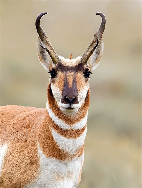 Image result for Fastest Second