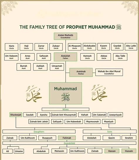 Image result for Muhammad Family Tree