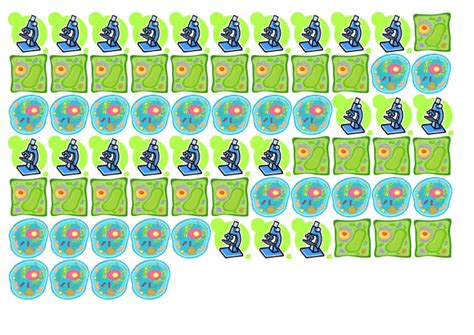 Image result for Chips Lesson for 4th Class