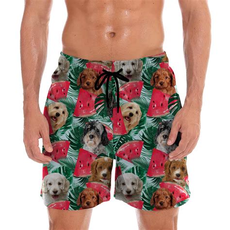 Image result for Cockapoo Shorts