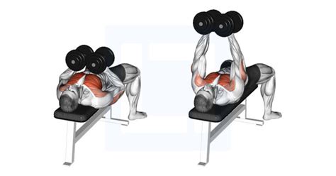 Image result for Fly Press Workout