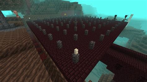 Image result for Minecraft Java Wither Skull Farm