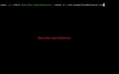 Image result for TLS Schema Load Balancer