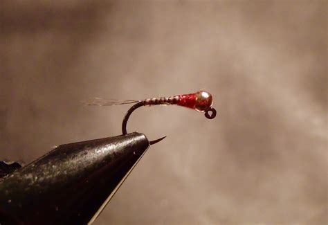 Image result for Effective Trigger Nymph Patterns