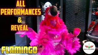 Image result for Flamingo Masked Singer Reveal