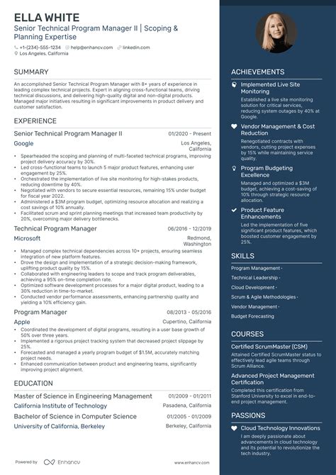 Image result for Technical Program Manager Vision Examples