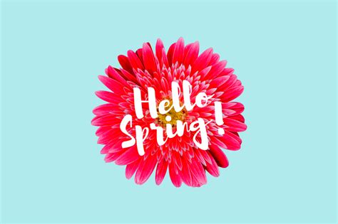 Image result for Hello Spring Cute Backgrounds
