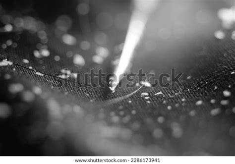 Image result for Seborrheic Dermatitis Contagious