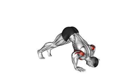 Image result for Pike Push-Up Target Muscles