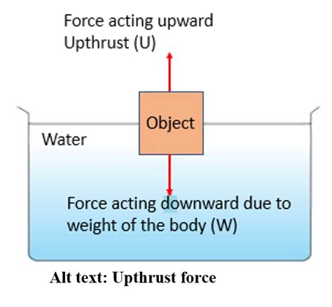 Image result for What Is Actually Upthrust Force