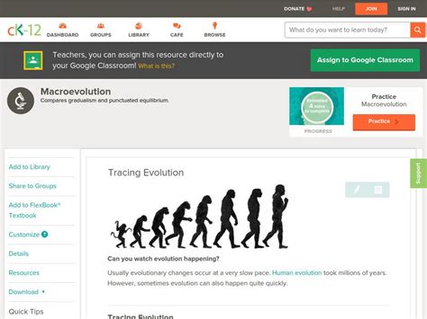 Image result for Evolution Activities Grade 12