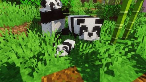 Image result for Minecraft Panda