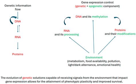 Image result for Evolution Epigenetics