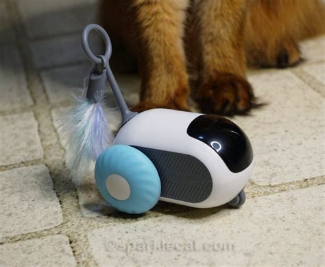 Image result for Remote Control Cat Sounds