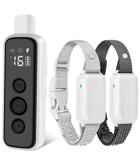 Image result for Best Training Collars for Dogs