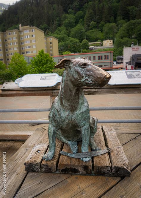 Image result for Patsy Ann