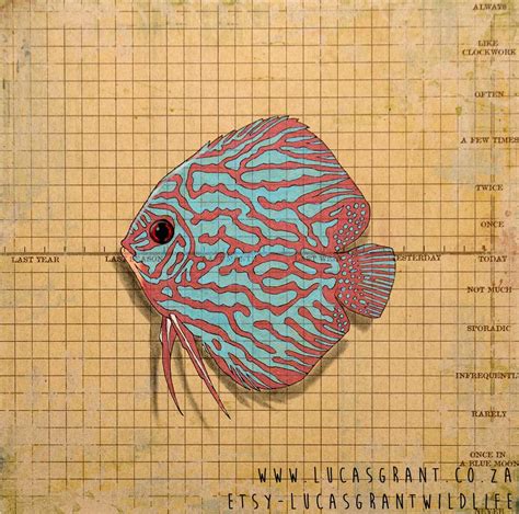 Image result for Discus Fish Tattoo