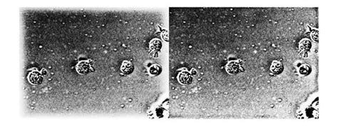 Image result for Homomorphic Filtering Specific Problem Comes