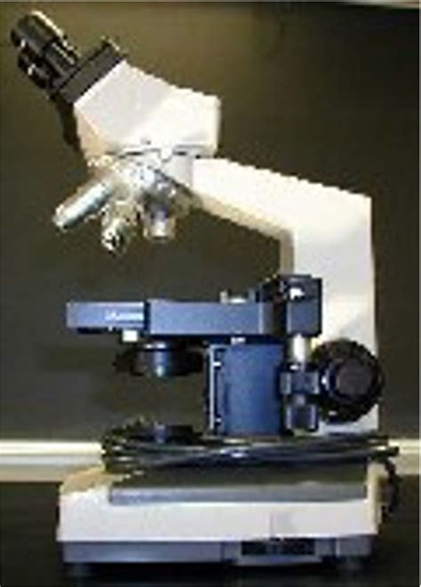 Image result for Microscope Label Diagram